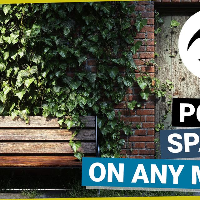 Spawn On ANY Object With Unreal Engine PCG Community Tutorial
