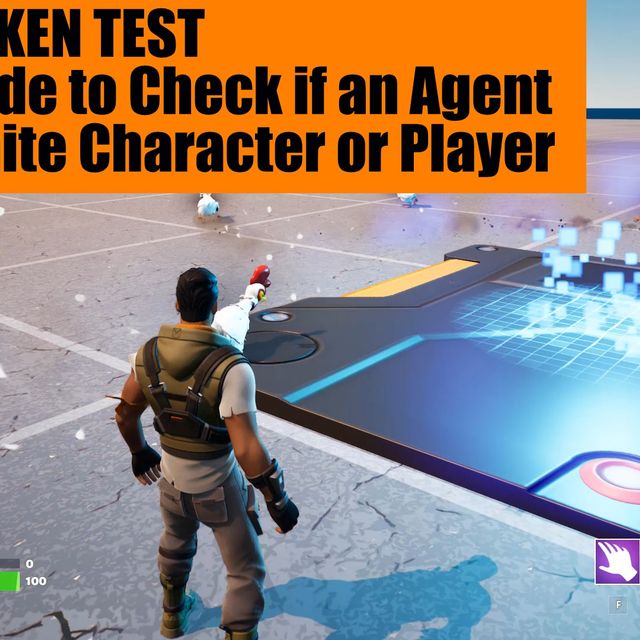 The Chicken Test: Verse Code to Check if an Agent is a Fortnite Player ...
