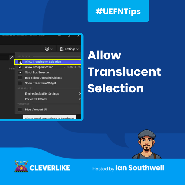 Settings - Allow Translucent Selection | Community tutorial
