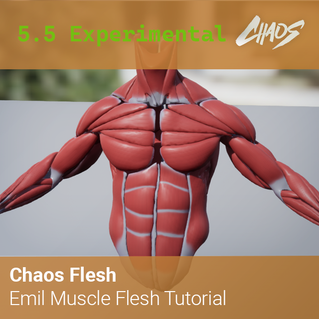 Chaos Flesh Muscle Simulation Tutorial (5.5) | Tutorial