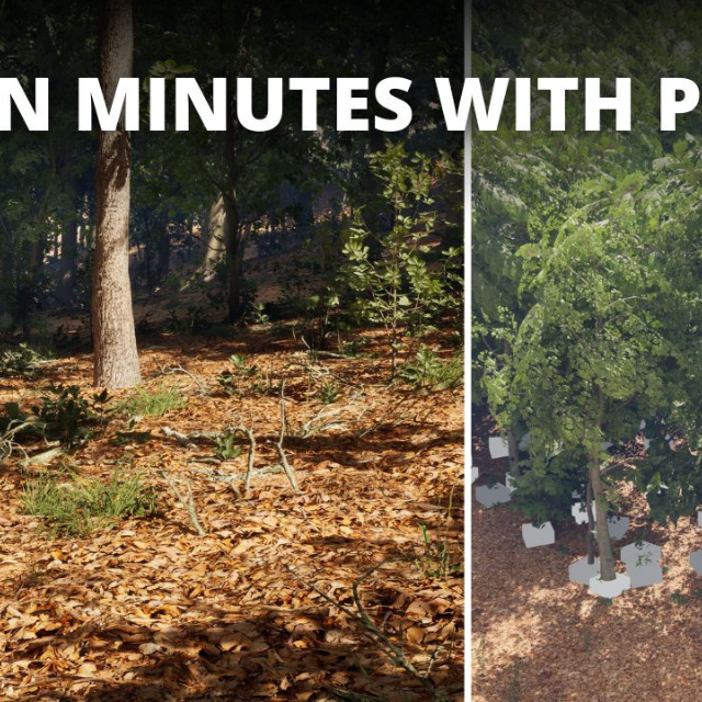 How to Make a Forest in Minutes with PCG in Unreal Engine 5 | Community ...