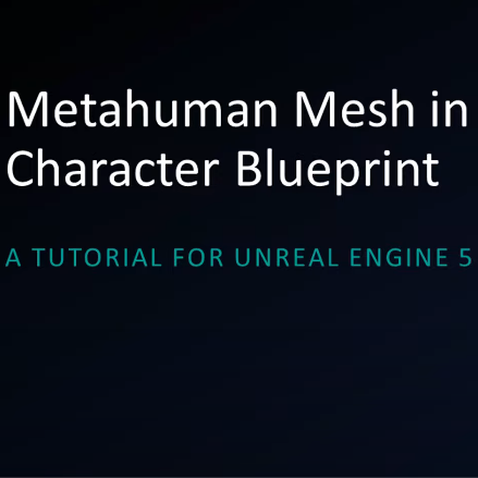 MetaHuman Mesh in Character Blueprint | Community tutorial