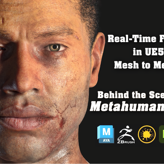 Transfer Metahuman Textures from Original Character Overview ...