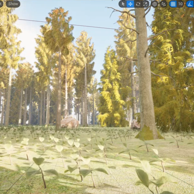 Procedural Foliage Issue | Community tutorial Procedural Foliage Issue | Community tutorial