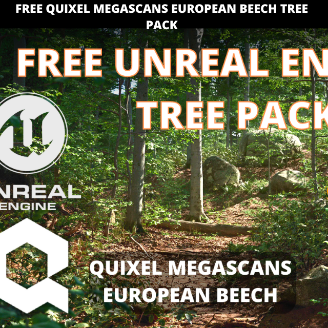 FREE Quixel Megascans European Beech Tree Pack for Unreal Engine 5 | Community tutorial