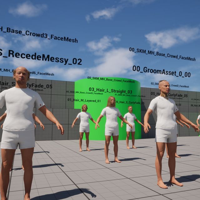 Unreal Engine 5.6 MetaHuman Crowd System - Appendix to Chapter 2 ...